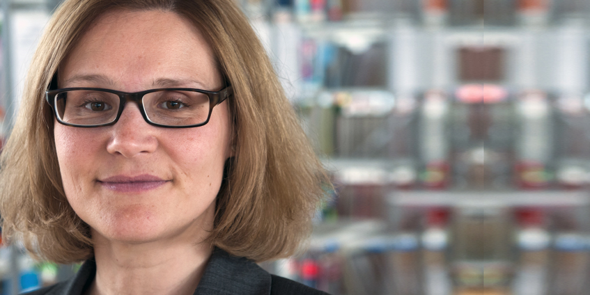 Hochschule Pforzheim - Team